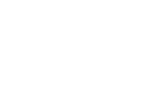 About Us – Paceline