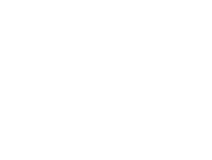 About Us – Paceline